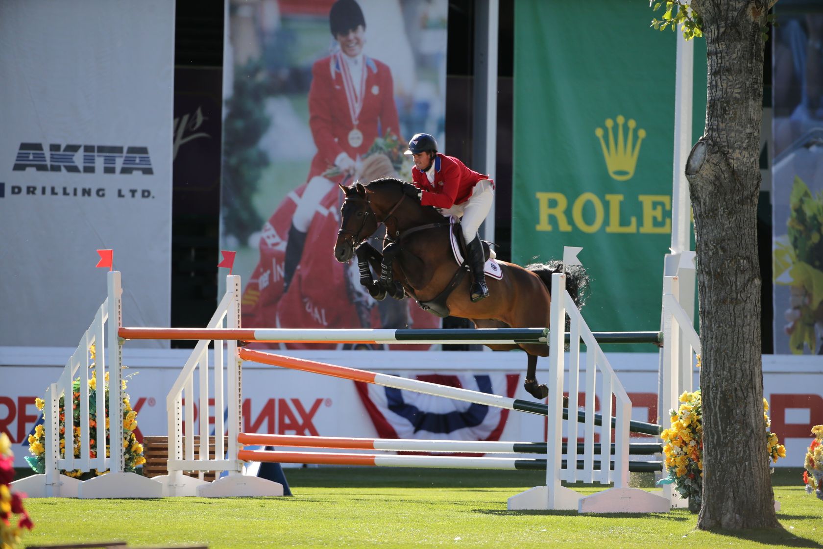 HH CONRAD Z - Precision in sport, powerful in breeding! | Studfarm Zangersheide